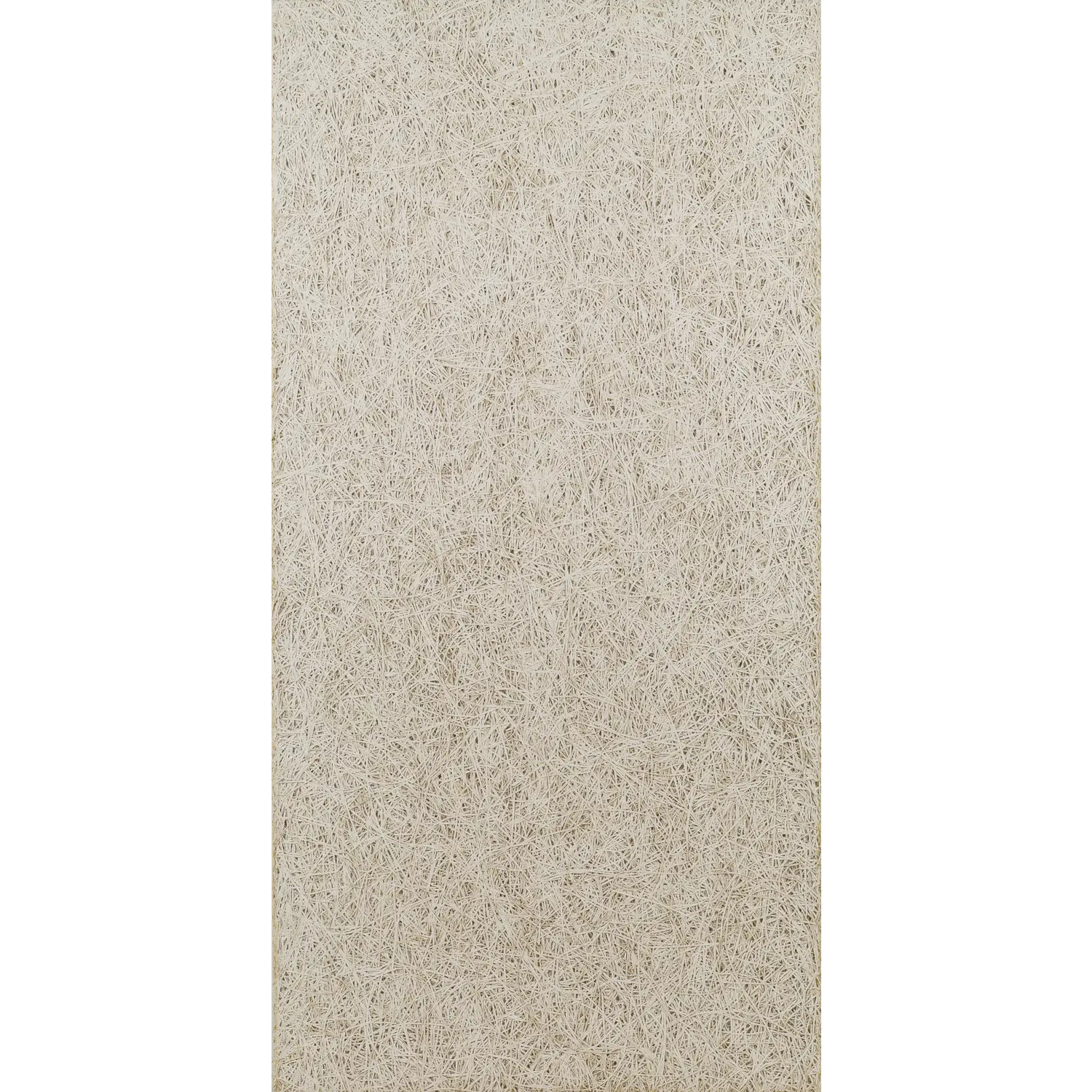 Troldtekt loftsplader fin lys natur 25x600 mm